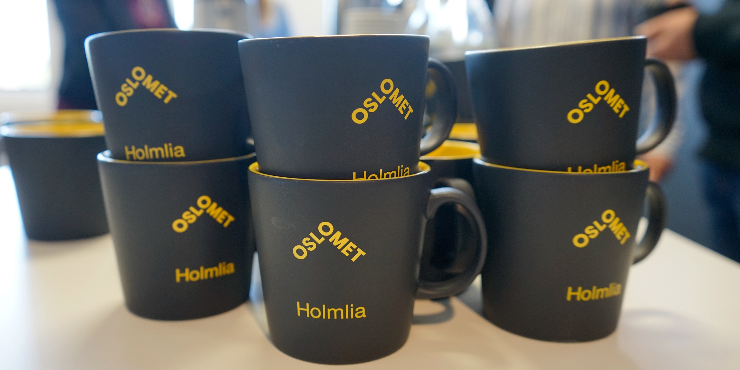 Dette gjør LUI på Holmlia - OsloMet