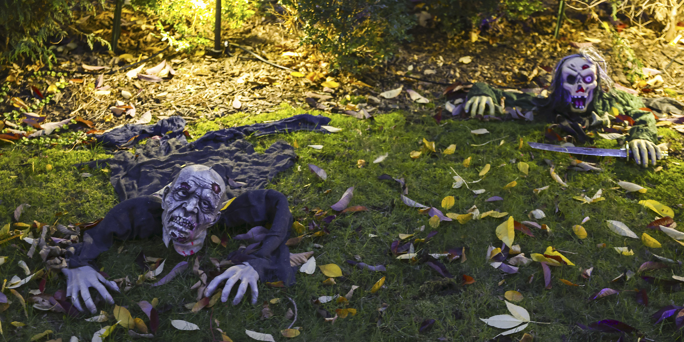 Skal du være zombie på Halloween? Dette er virkelighetens zombier - OsloMet