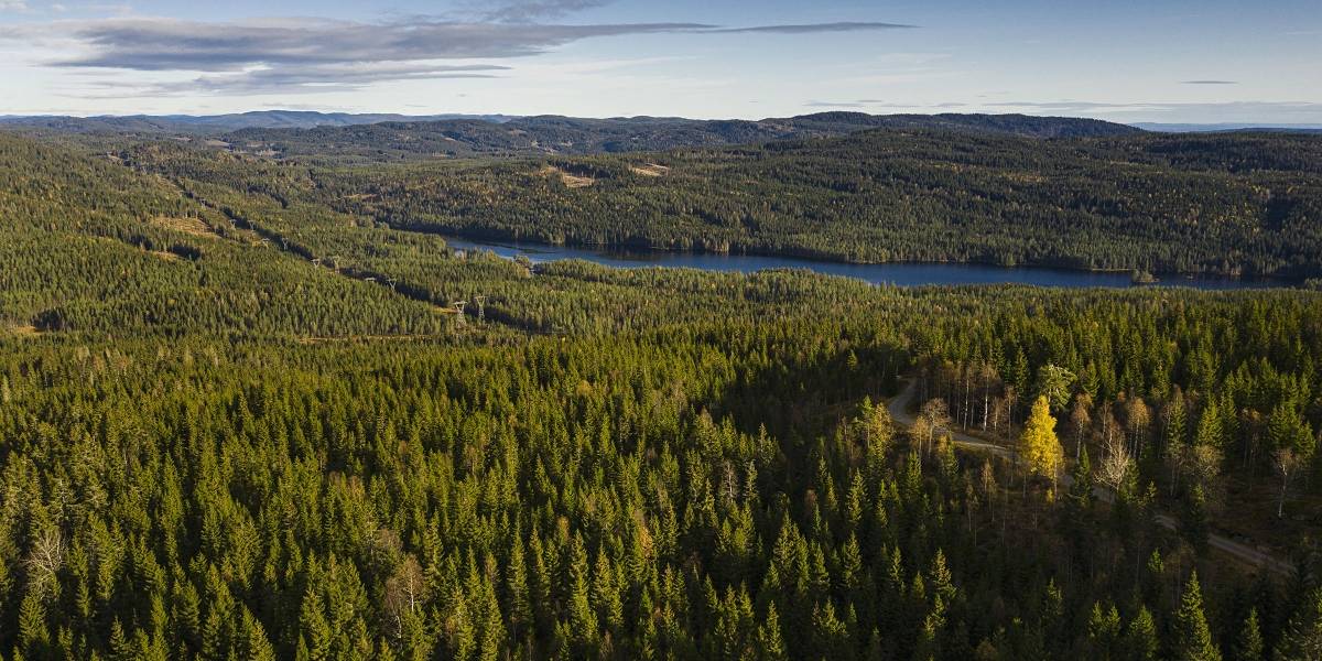 Finn et sted å bo i Oslo! - OsloMet