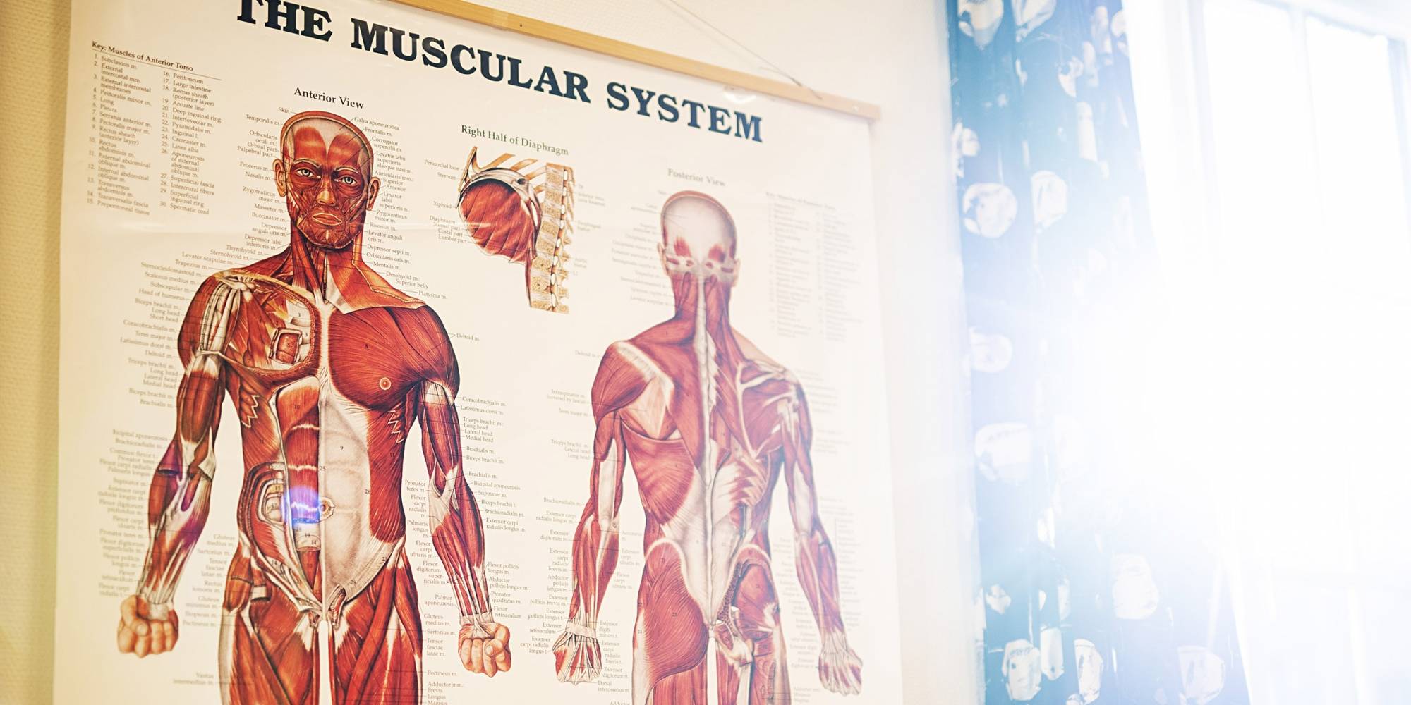 Fysioterapi for muskelskjeletthelse, master i helsevitenskap - OsloMet