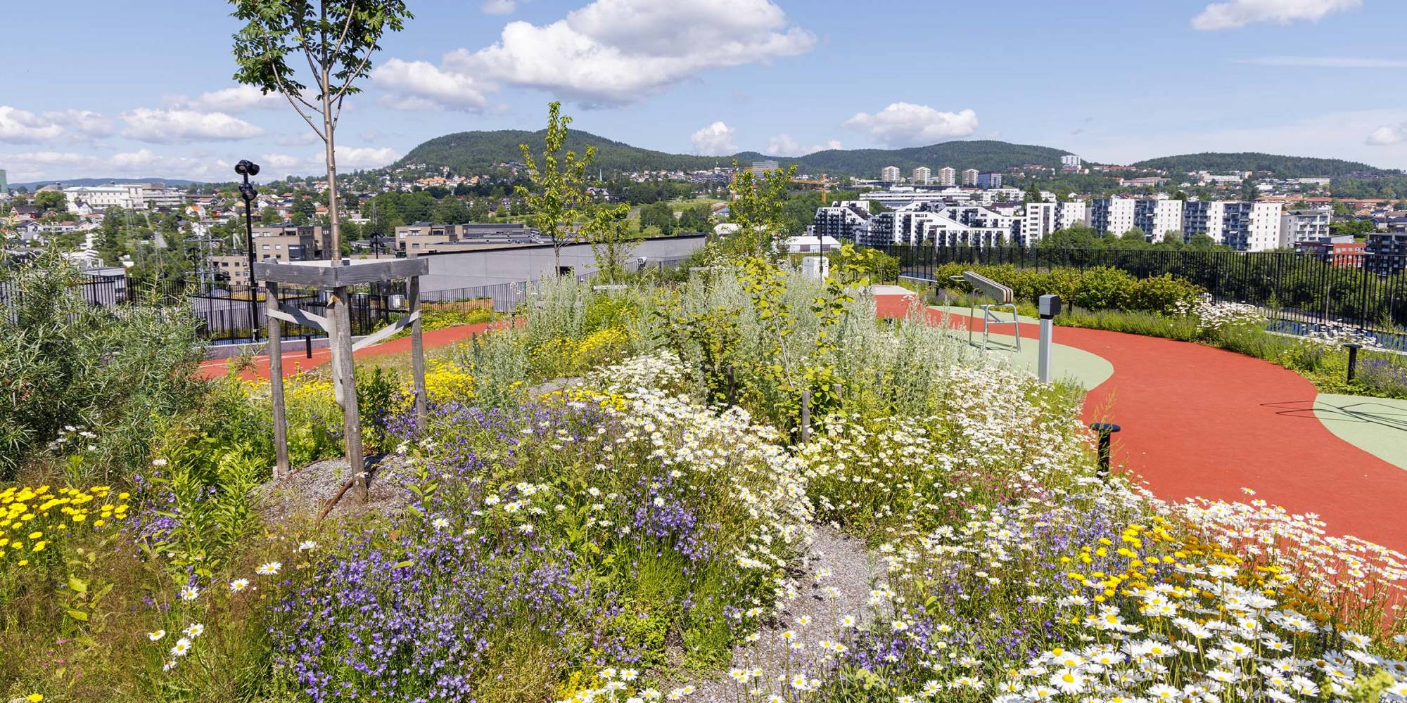 Institutt for informasjonsteknologi - OsloMet