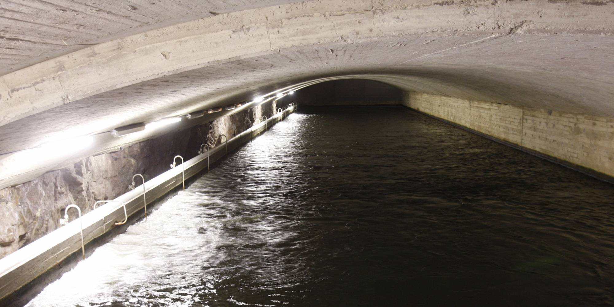 Avløpsvann kan renses enklere og billigere - OsloMet