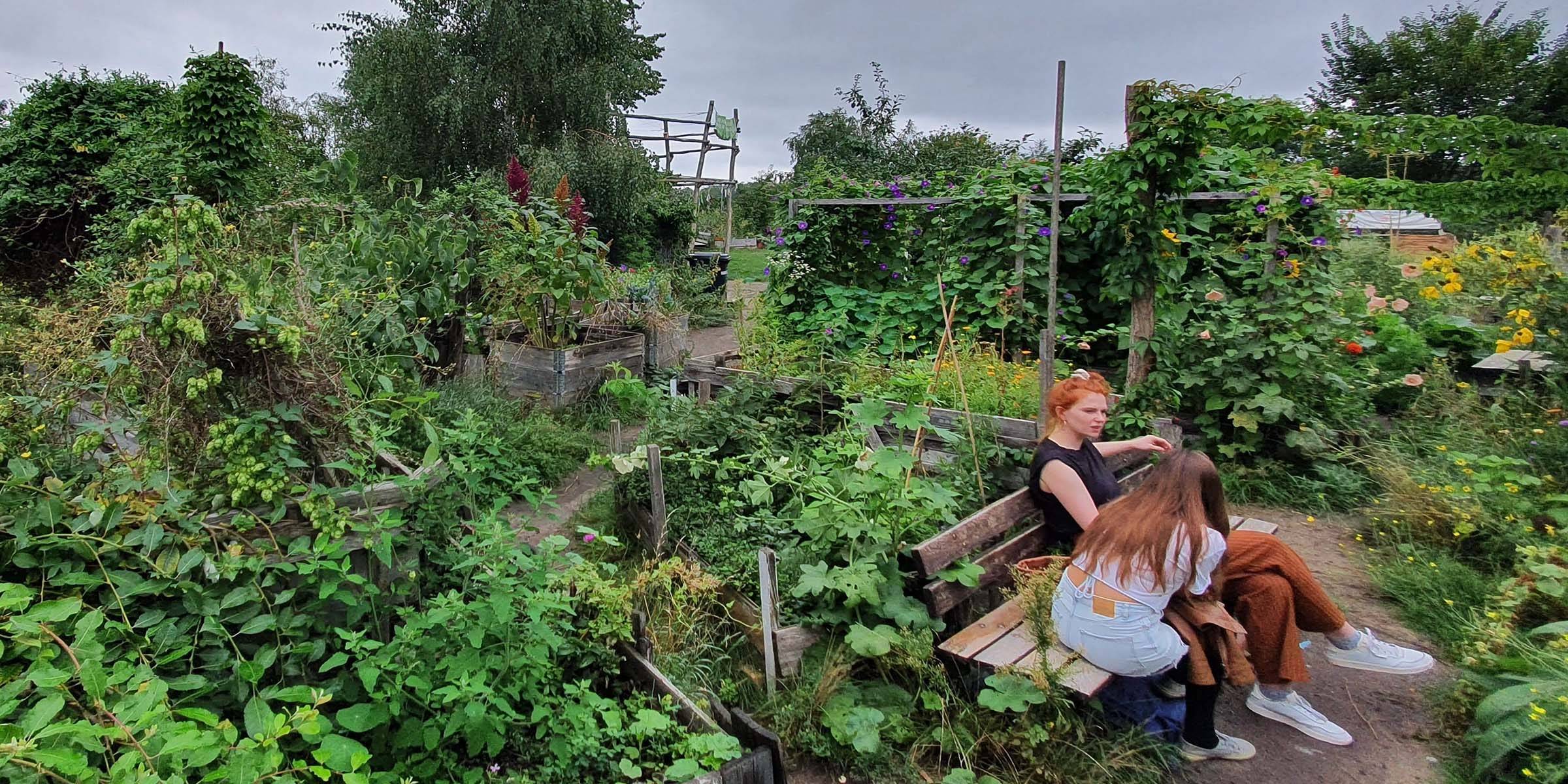 Edible Cities Network: Integrating Edible City Solutions for social ...