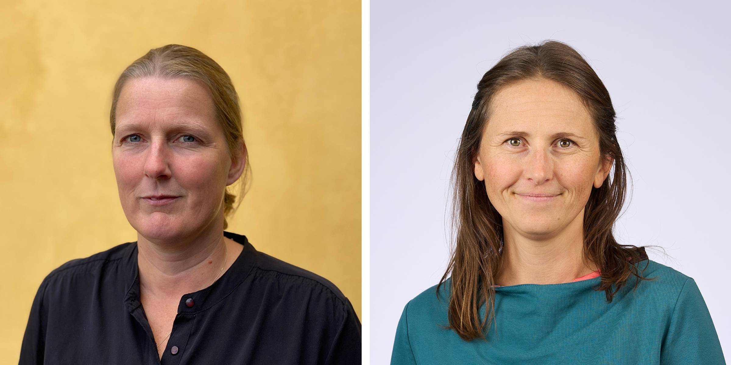 Antall ansatte i staten norge 2025 - Search - OsloMet